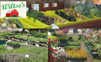 Wiltse's Greenhouse & Farm Produce | $10 for $20 Worth of Flowers ...
