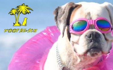 WoofBeach | $12 for $24 toward Dog Grooming Services at WoofBeach - Six ...